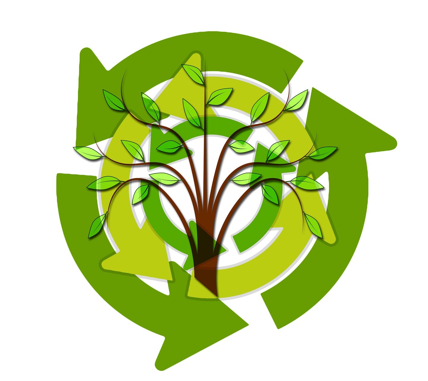 Learning for the green transition • 3s